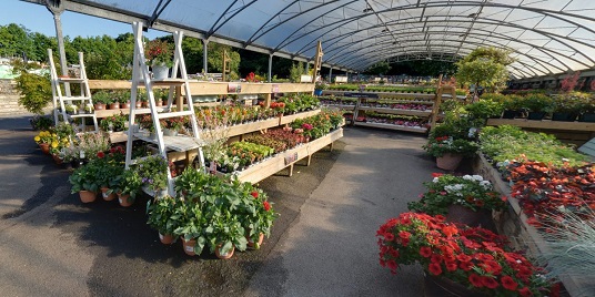 Indoor and Outdoor Furniture | Shackletons Home & Garden